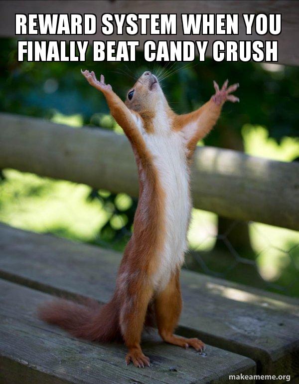 Reward system when you finally beat candy crush - Happy Squirrel Meme ...