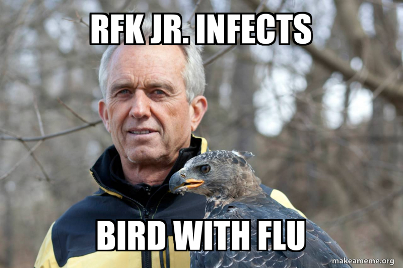 rfk jr. infects bird with flu Meme Generator