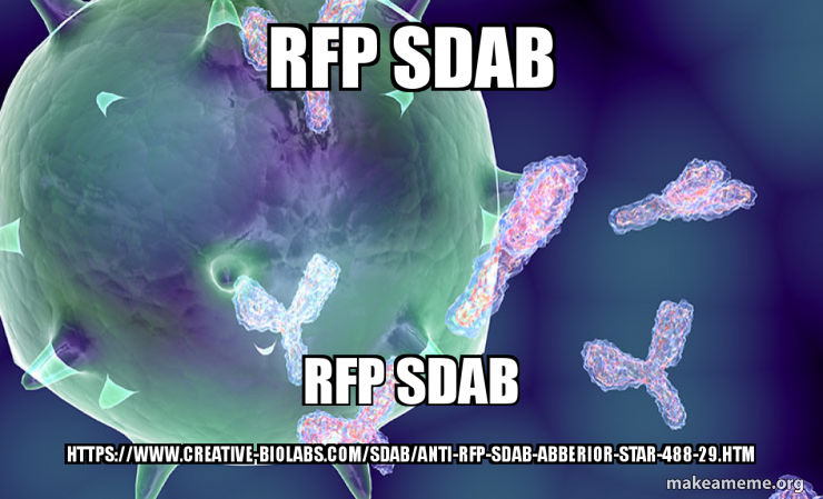 RFP sdAb RFP sdAb https://www.creative-biolabs.com/sdab/anti-rfp-sdab ...