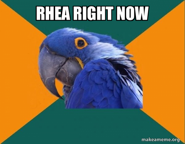 rhea right now - Paranoid Parrot Meme Generator