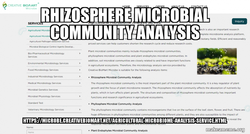 Rhizosphere Microbial Community Analysis https://microbe ...