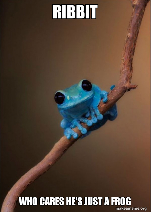 Ribbit Who cares He's just a frog - Small Fact Frog Meme Generator