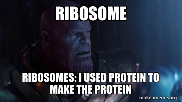 ribosome ribosomes: I used protein to make the protein - Thanos ...
