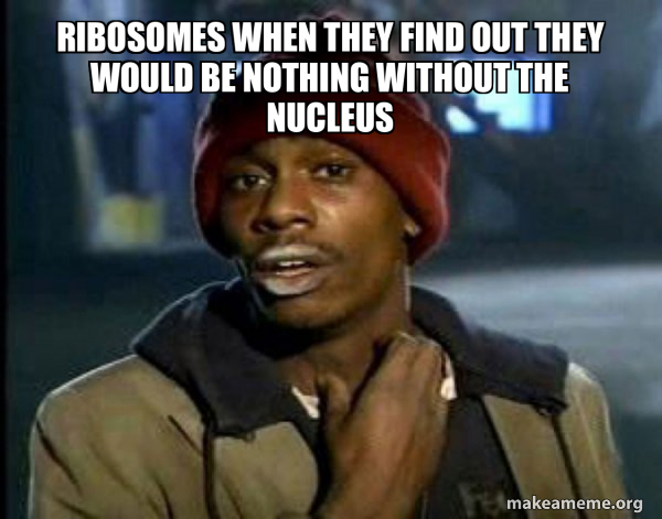 Ribosomes when they find out they would be nothing without the Nucleus ...