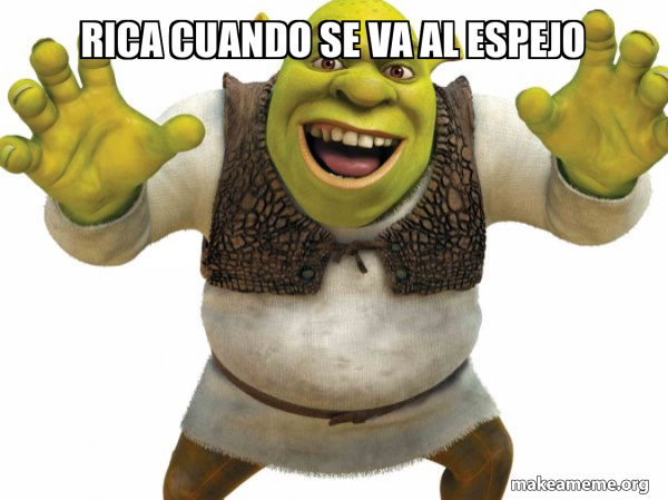 Rica cuando se va al espejo - Shrek Meme Generator