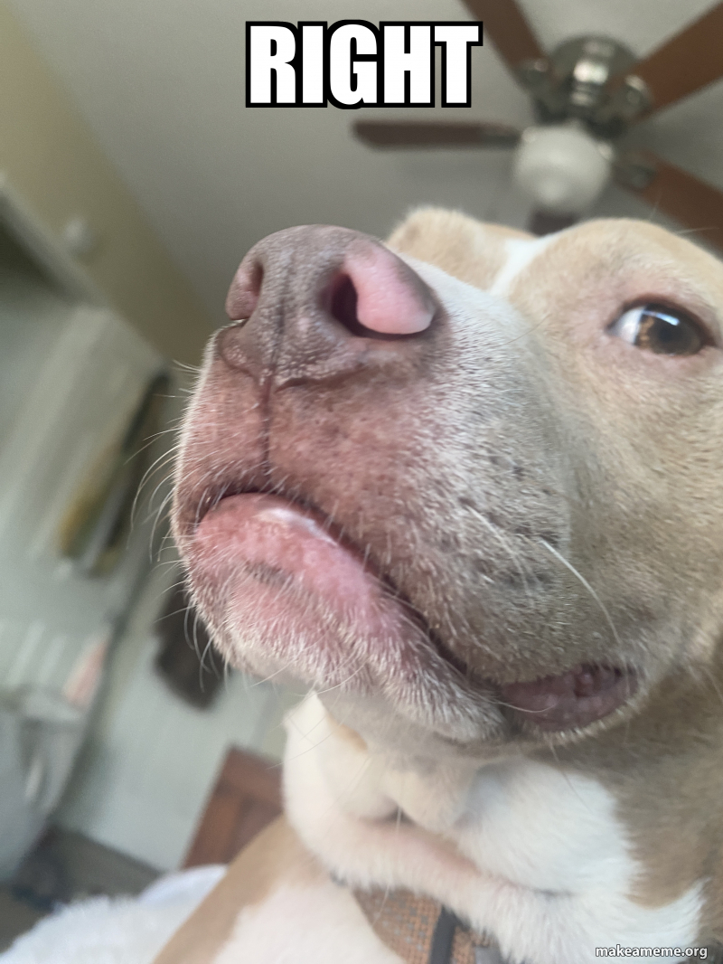 Right Meme Generator