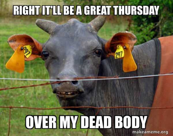 Right it'll be a great Thursday Over my dead body - Hairless Cow | Make ...