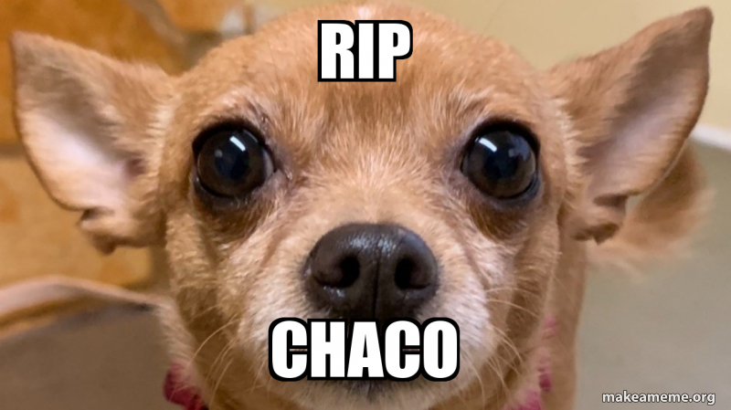 rip chaco Meme Generator