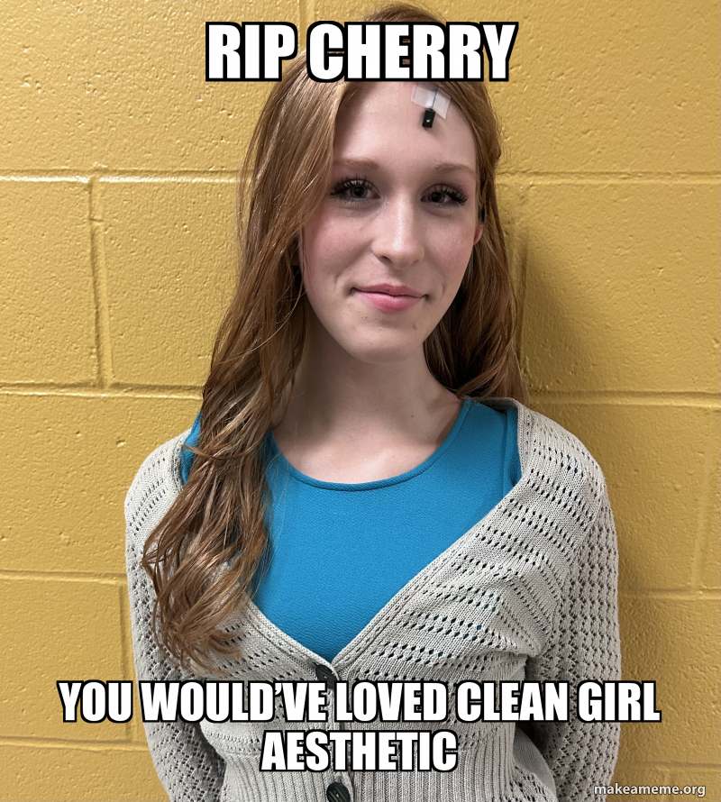 RIP Cherry You would’ve loved clean girl aesthetic Meme Generator