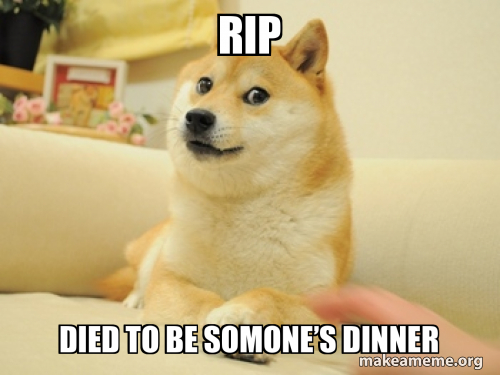 RIP Died to be somone’s dinner Meme Generator