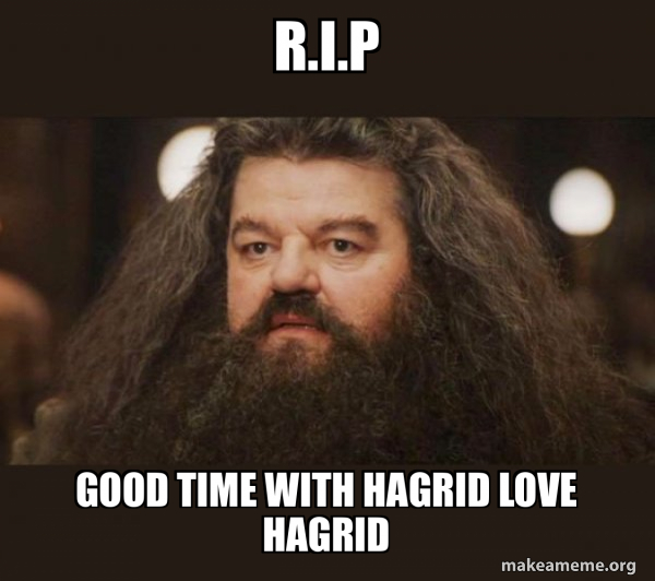R.I.P good time with Hagrid Love Hagrid - Hagrid - I should not have ...