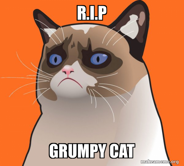 R.I.P Grumpy cat - Cartoon Grumpy Cat Meme Generator