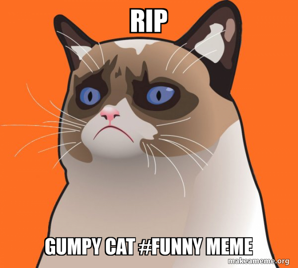 RIP GUMPY CAT #FUNNY MEME - Cartoon Grumpy Cat Meme Generator