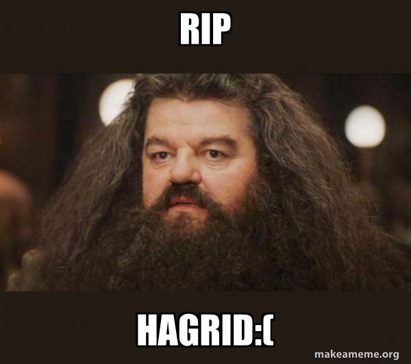 RIP Hagrid:( - Hagrid - I should not have said that Meme Generator