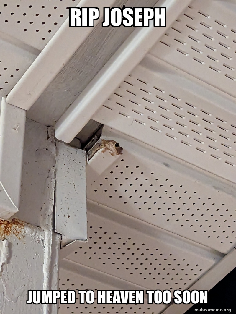 RIP Joseph Jumped to heaven too soon Meme Generator