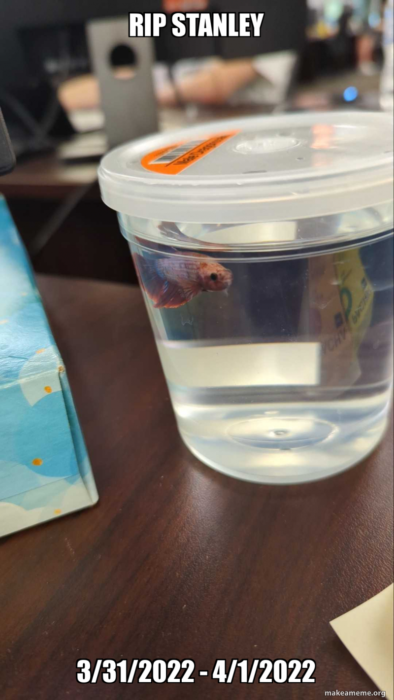 RIP Stanley 3/31/2022 - 4/1/2022 Meme Generator
