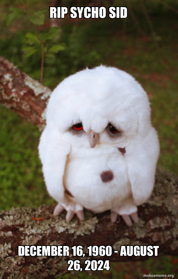 RIP Sycho Sid December 16, 1960 - August 26, 2024 - Sad Owl Meme Generator