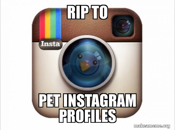 rip to pet instagram profiles - Instagram twitter Meme Generator