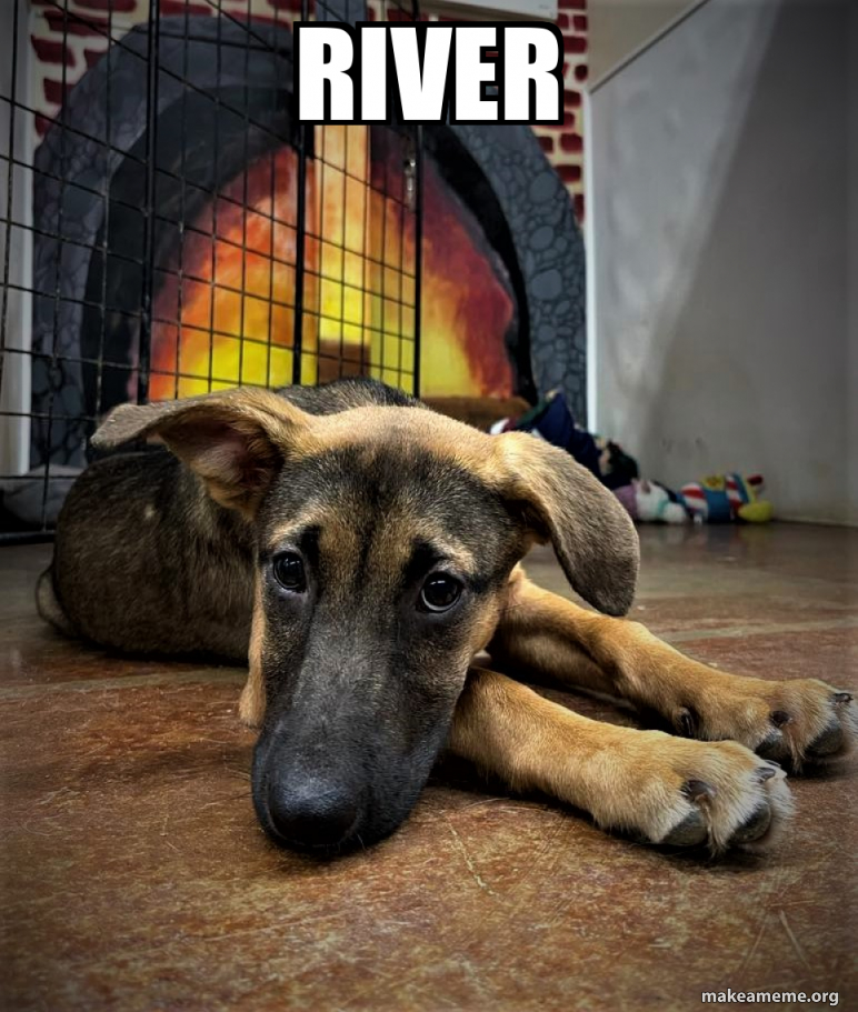 river Meme Generator