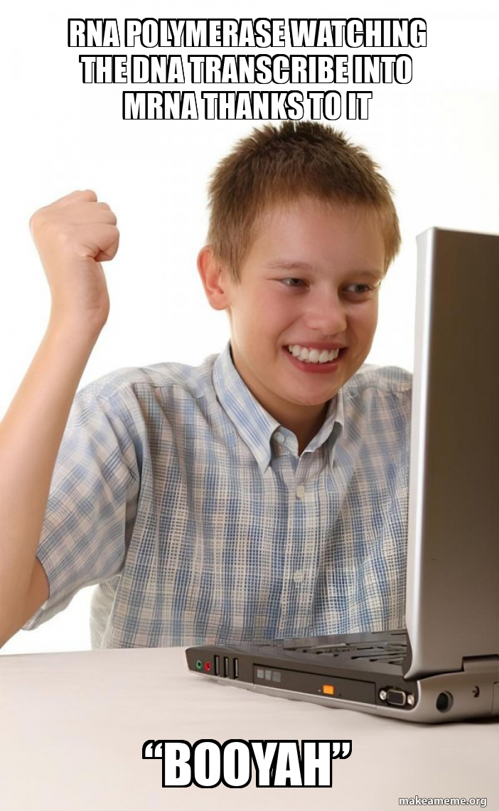 RNA Polymerase watching the DNA transcribe into mRNA thanks to it ...