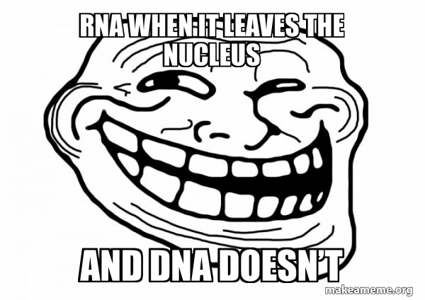 Rna when it leaves the nucleus And dna doesn’t - Trollface Meme Generator
