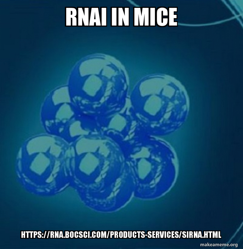 rnai in mice https://rna.bocsci.com/products-services/sirna.html Meme ...
