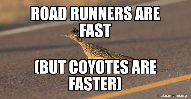 Road runners are fast (But coyotes are faster) Meme Generator