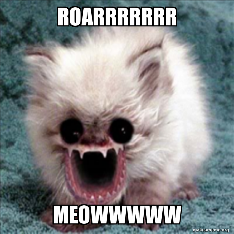 ROARRRRRRR MEOWWWWW - Lol this is my cat jk Meme Generator