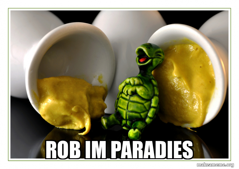 rob im paradies Meme Generator