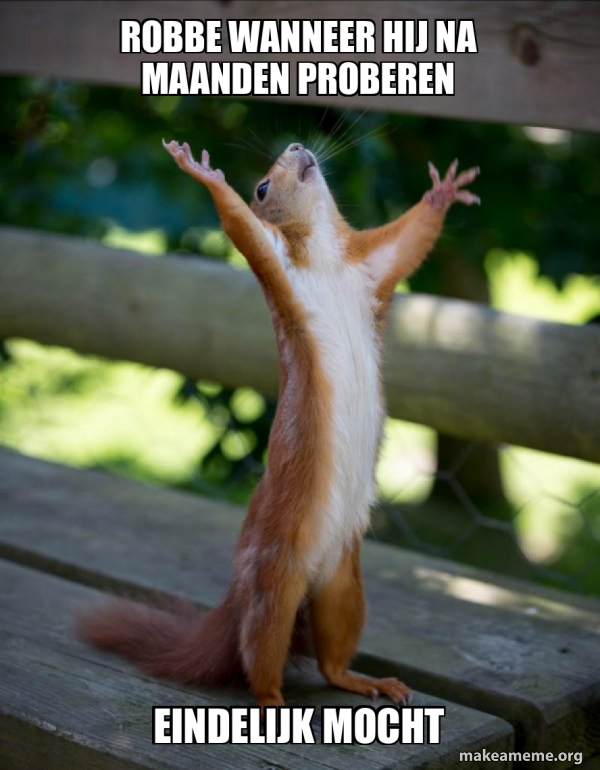 Robbe wanneer hij na maanden proberen Eindelijk mocht - Happy Squirrel ...