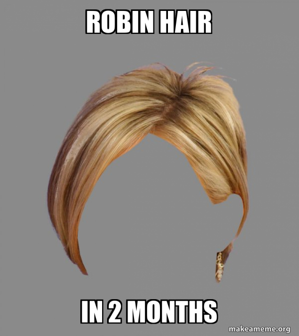 robin hair in 2 months - The Karen Hair Meme Generator