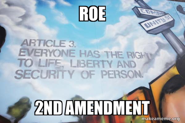 roe 2nd amendment Meme Generator