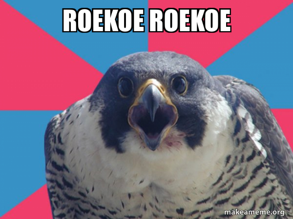 roekoe roekoe - Millennial Falcon Meme Generator