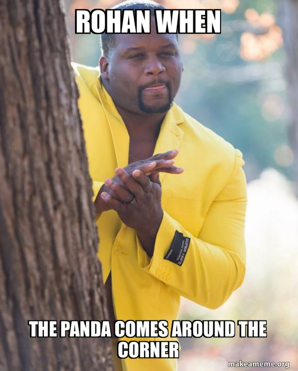 Rohan when the panda comes around the corner - Anthony Adams in Yellow ...