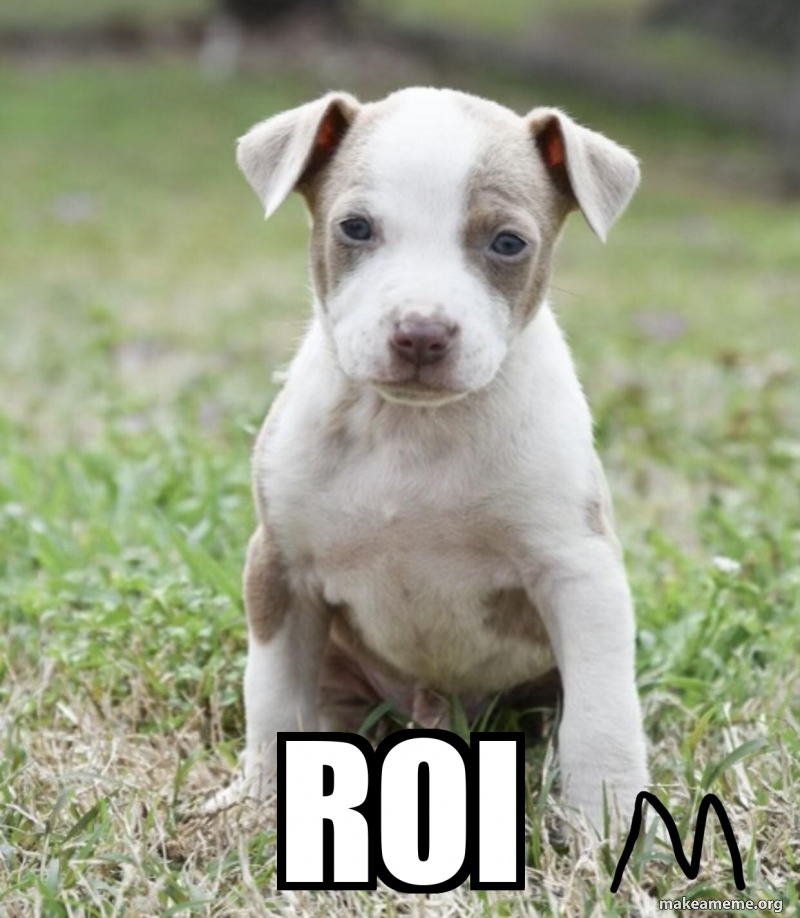 roi Meme Generator