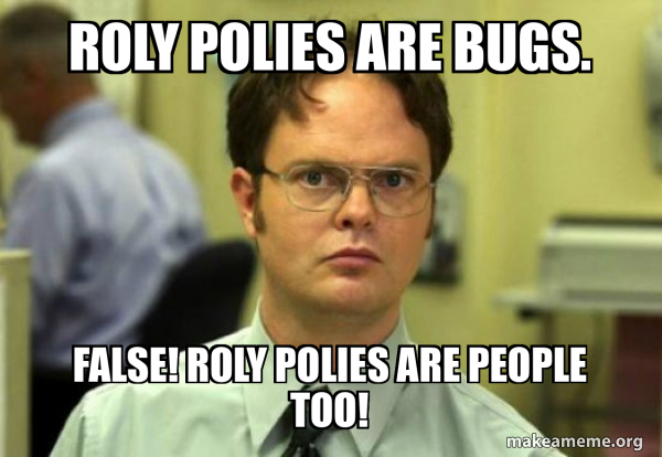 Roly Polies are bugs. false! roly polies are people too! - Schrute ...