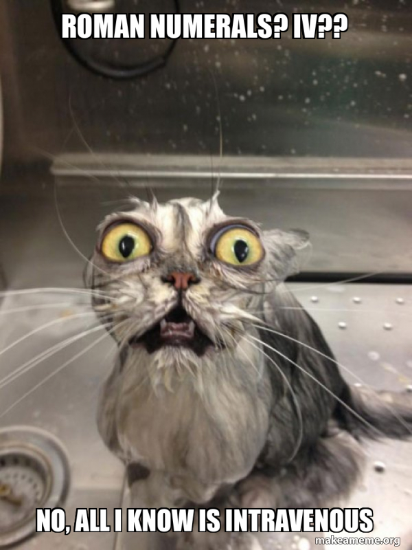 Roman Numerals? IV?? NO, all i know is Intravenous - Cat bath Meme ...