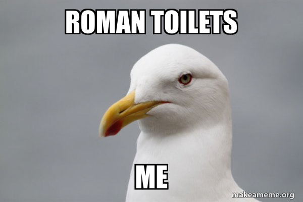 Roman Toilets Me - Stuff That Didn't Happen Seagull Meme Generator