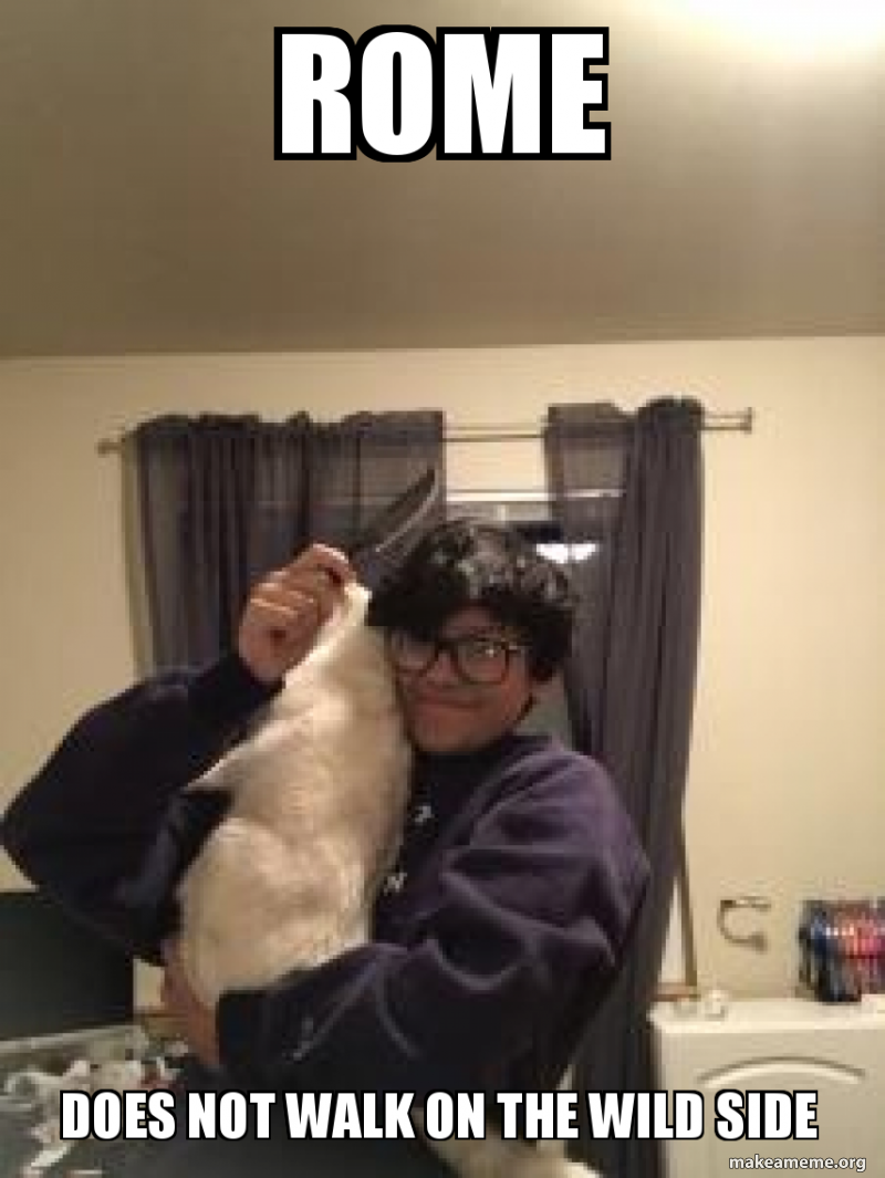 Rome does not walk on the wild side Meme Generator