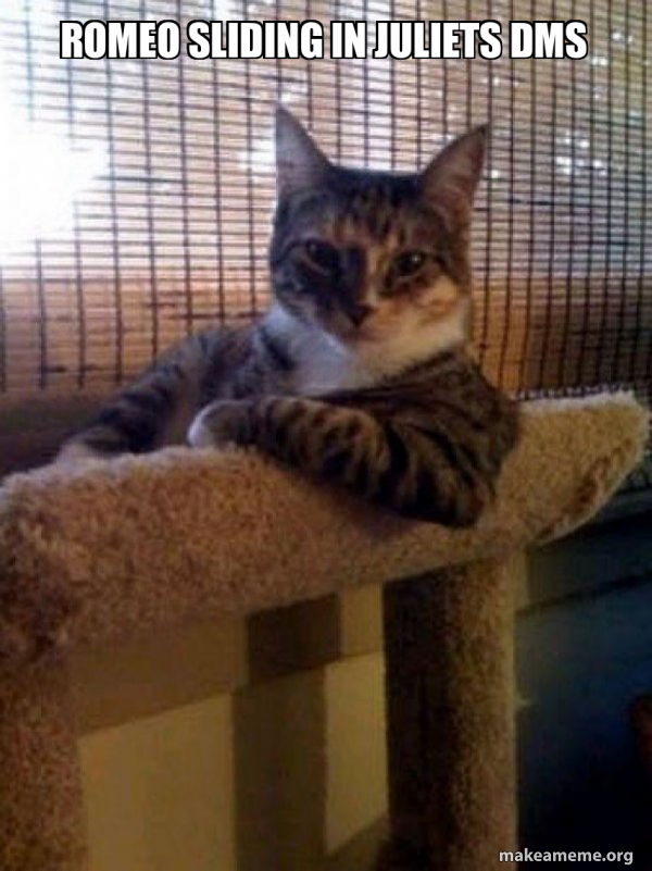 romeo sliding in juliets dms - The Most Interesting Cat in the World ...