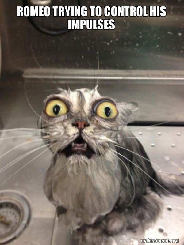 Romeo trying to control his impulses - Cat bath Meme Generator