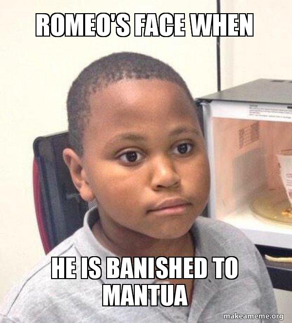Banished Meme