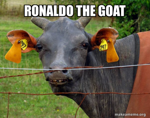 Ronaldo the goat - Hairless Cow Meme Generator