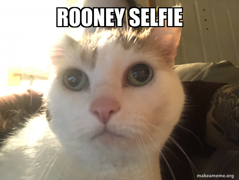 Rooney selfie Meme Generator