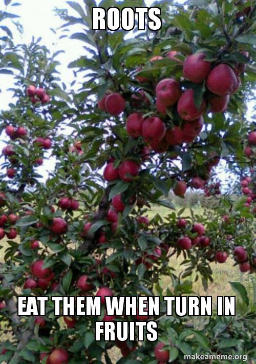 Roots Eat them when turn in fruits Meme Generator