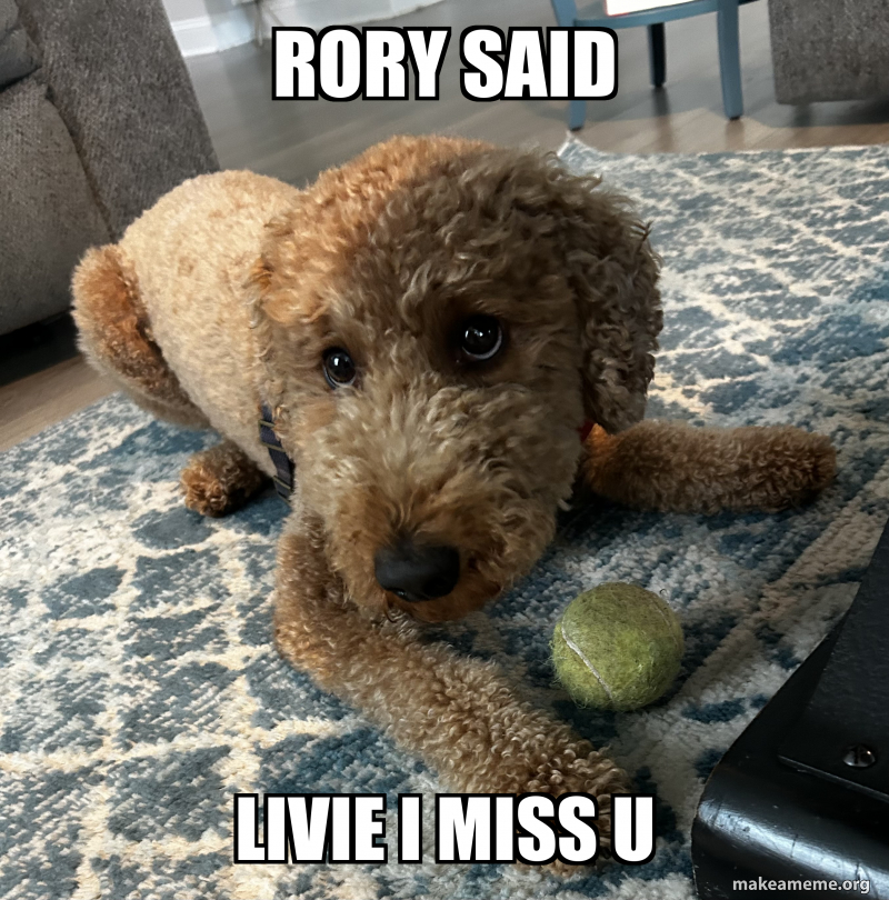 Rory said Livie i miss u Meme Generator