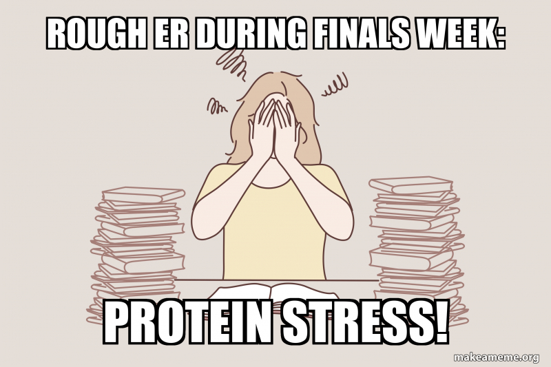 ROUGH ER DURING FINALS WEEK: Protein Stress! Meme Generator