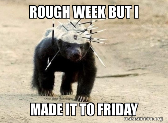 ROUGH WEEK BUT I MADE IT TO FRIDAY Meme Generator