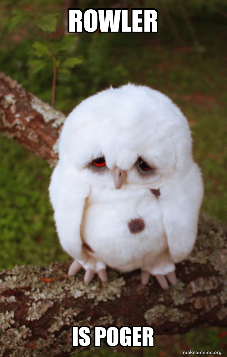 rowler is poger - Sad Owl Meme Generator