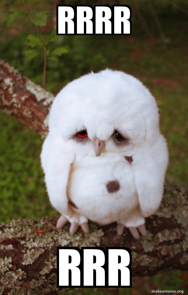rrrr rrr - Sad Owl Meme Generator